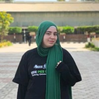 IEEE ZSB